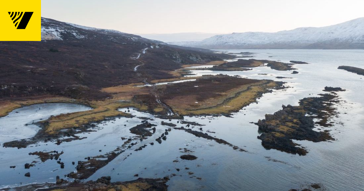 Vegur um Teigsskóg í útboð – Vegagerðin